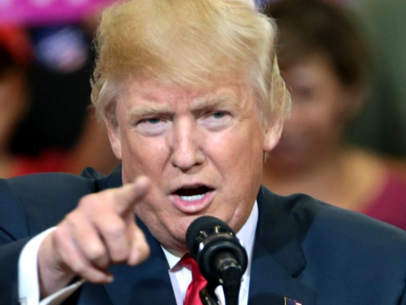 Donald trump - Les Crieurs Du Web