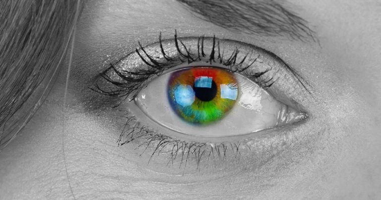 Cette vidéo vous fait voir le monde avec les yeux d'un daltonien