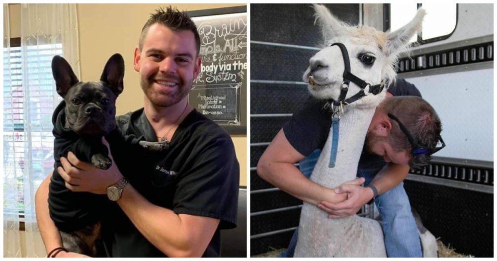 Vidéo: un chiropracteur soigne les animaux blessés pour qu'ils puissent ...