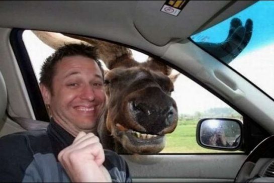Top 20 des images les plus drôles et insolites trouvées sur Internet