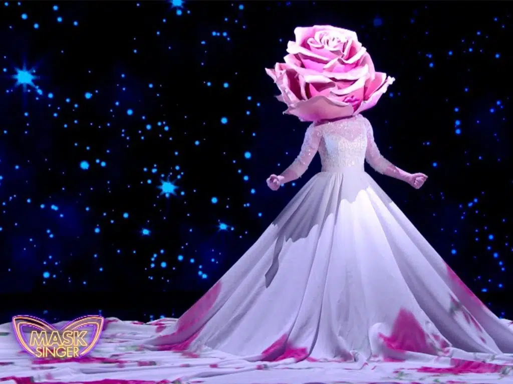 « Merci du spoil TF1 » : les téléspectateurs de Mask Singer s’agacent ...