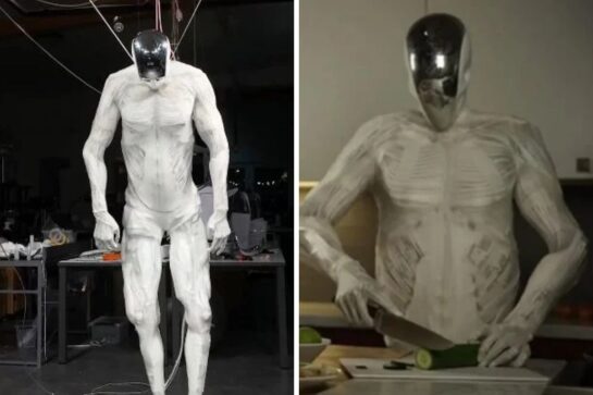 Le premier robot avec de « vrais muscles » pourrait bientôt ressembler ...