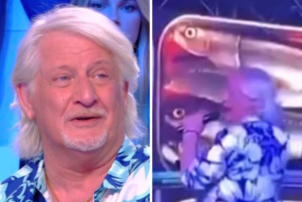 Patrick Sébastien, 71 ans, reçoit une « gâterie » dans un camping ...